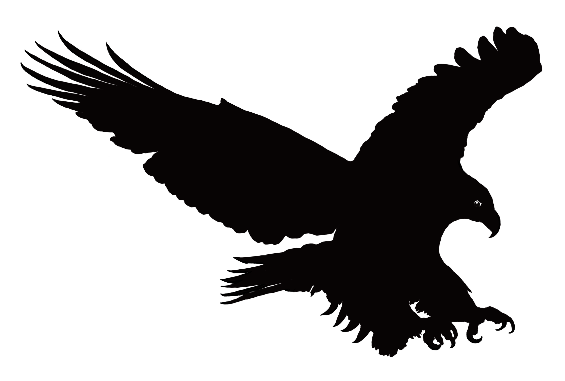 Patriotic Eagle Vector Art – PNG Download – Niver’s blog